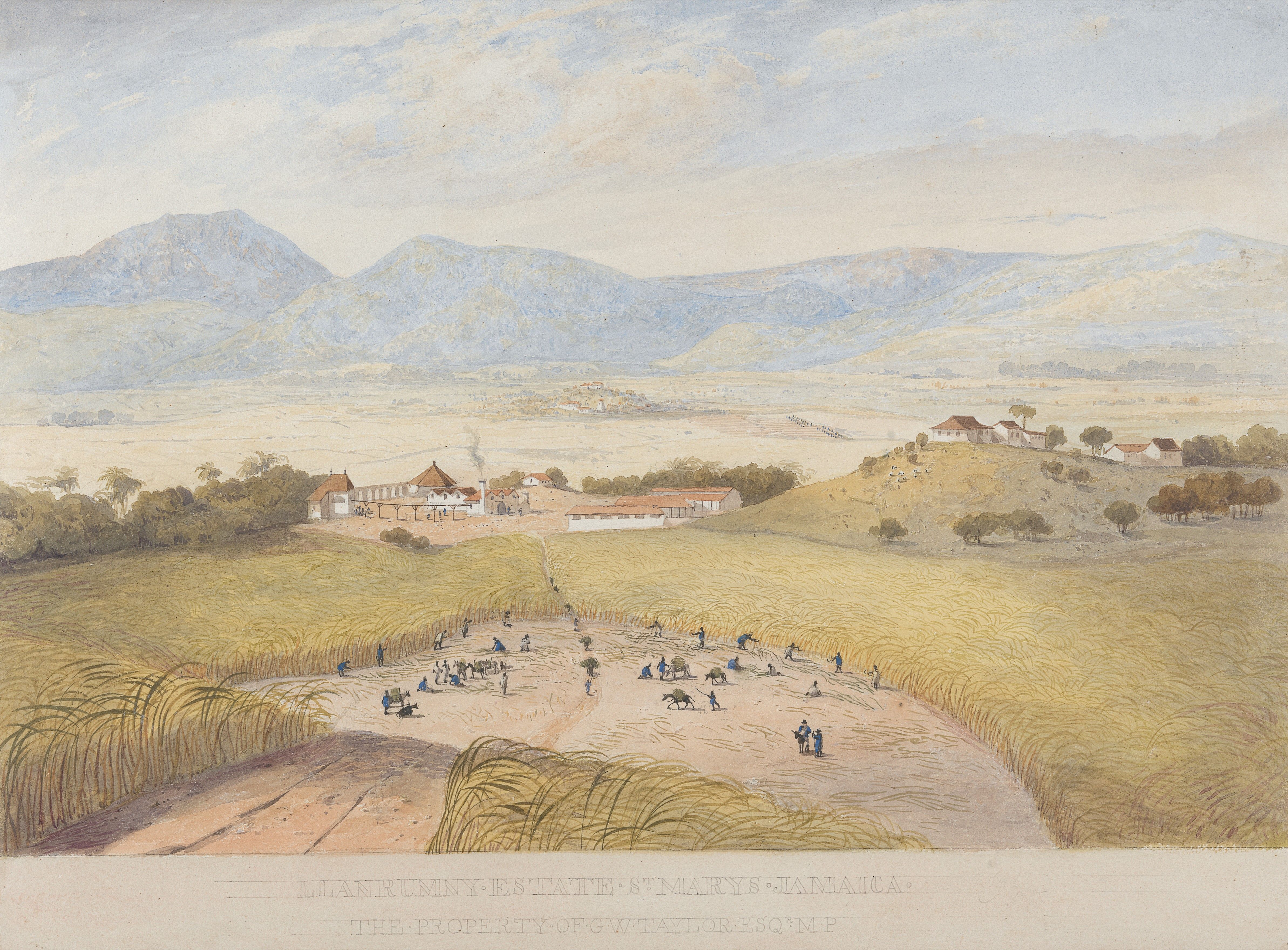 Martin Johnson Heade and the Anthropocene · iii / Human Geology ...